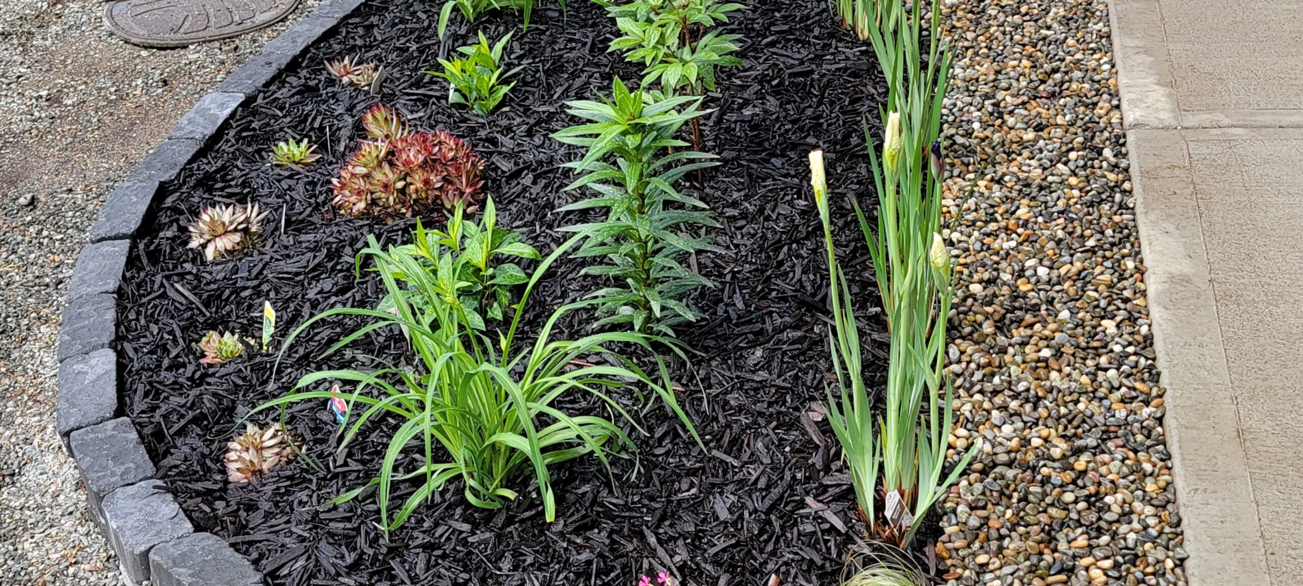 Garden Guru Gallery | Kamloops, BC – Garden Guru